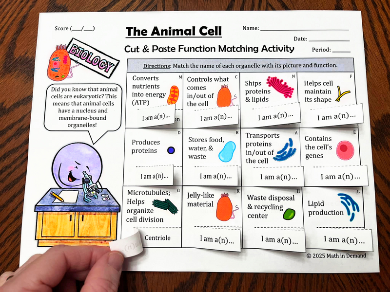 Animal and Plant Cell Cut & Paste Matching Activities - Math in Demand
