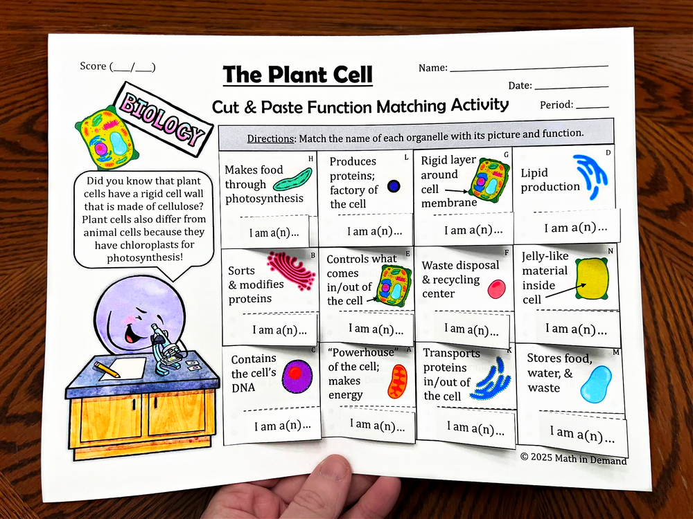 Plant Cell Cut & Paste Matching Functions & Organelles Activity - Math ...