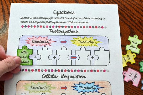 Photosynthesis vs Cellular Respiration Puzzle Activity - Math in Demand