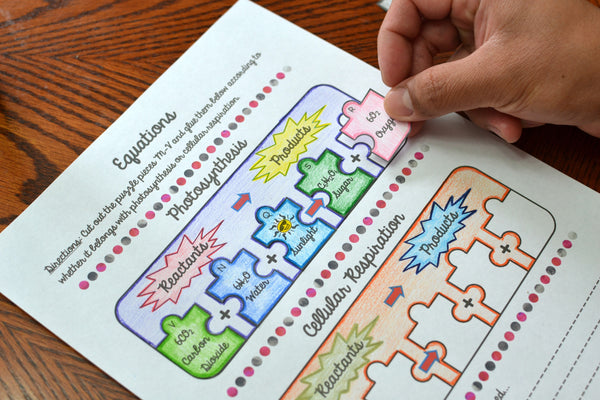 Photosynthesis vs Cellular Respiration Puzzle Activity - Math in Demand