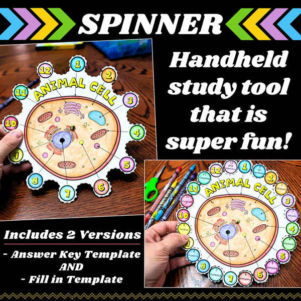 Animal Cell Wheel Spinner - Math in Demand