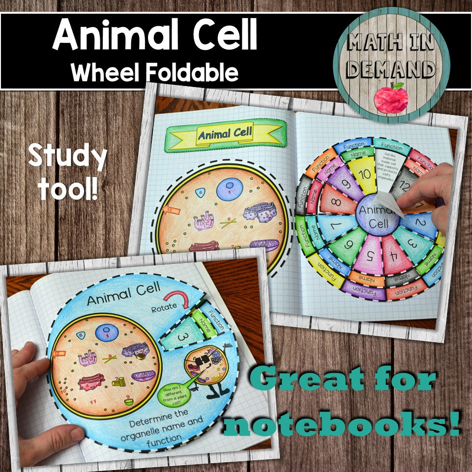 Animal Cell Foldable - Math in Demand