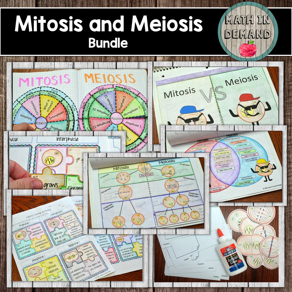 Mitosis and Meiosis Bundle - Math in Demand