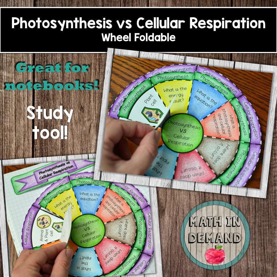 Photosynthesis vs Cellular Respiration Wheel Foldable - Math in Demand