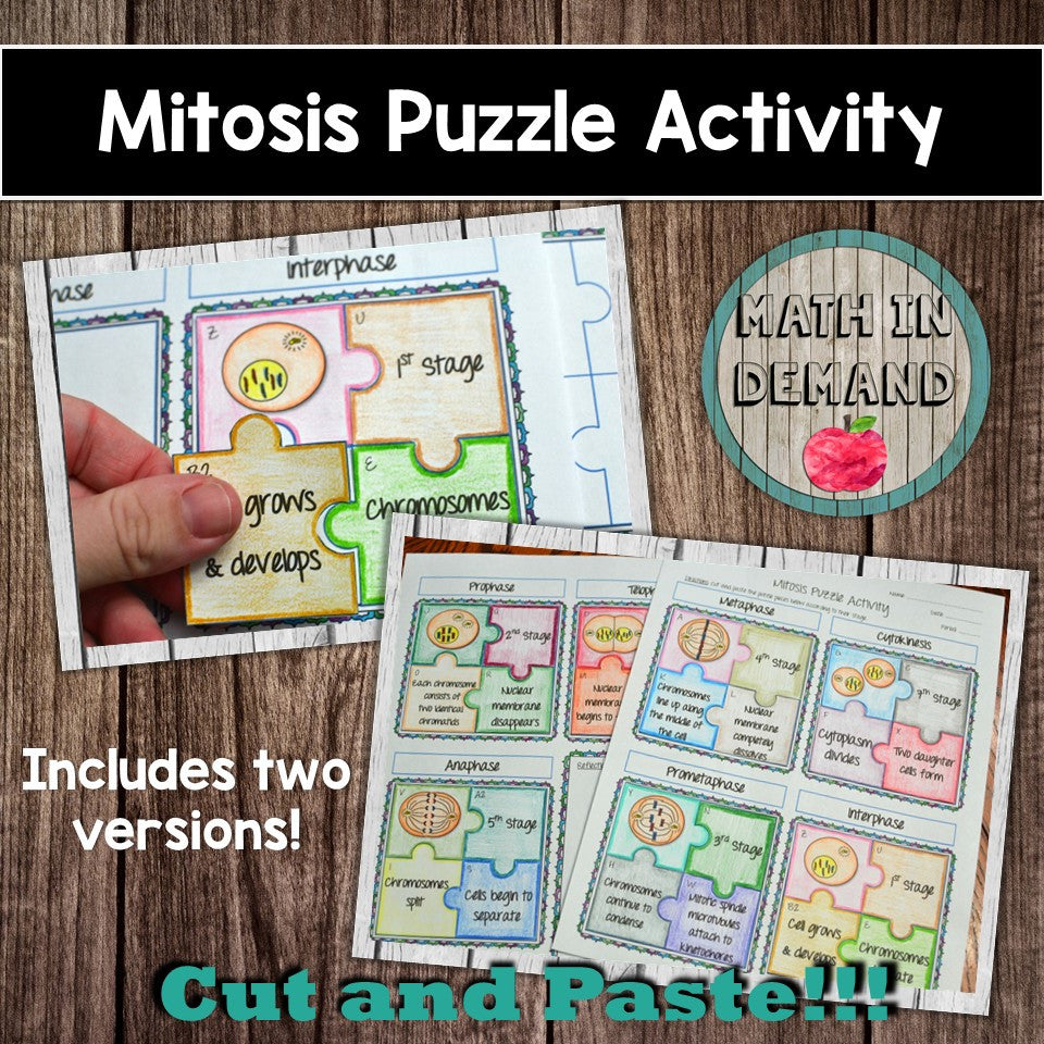 Mitosis Puzzle Activity - Math in Demand